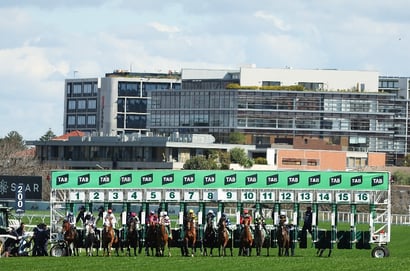 Randwick Racing Tips for September 6 - Lady Shenandoah gated to win, 1st-up