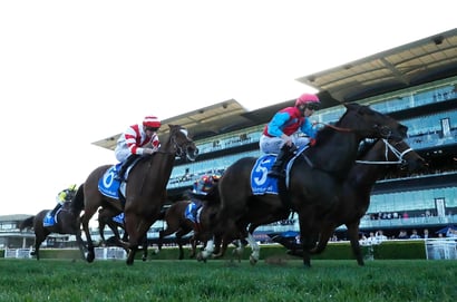 Randwick Blackbookers and horses to follow from September 6