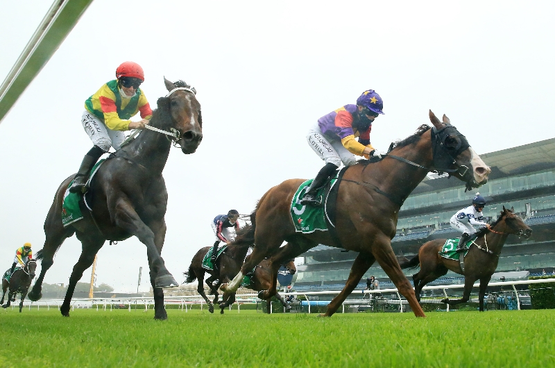 Randwick-Kensington Betting Tips Wednesday January 21, 2026 | Best Bets ...