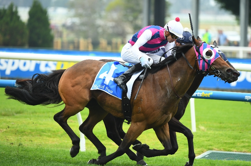 Rey Magnerio Gold Rush Win | Griffiths Eyes Caulfield Magic Millions