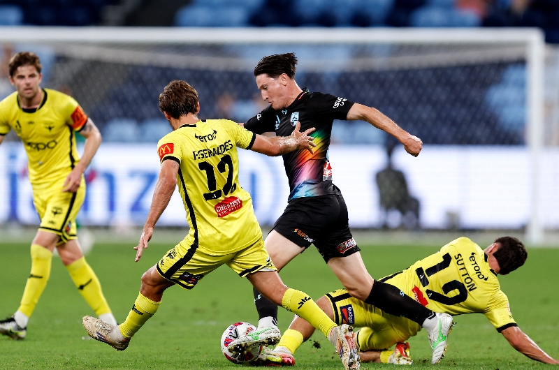 Sydney FC vs Wellington Phoenix Tips & Prediction - Triumphant return ...