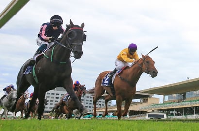 Warwick Farm Racing Tips for October 22 - Hurstville Zagreb is poised ...