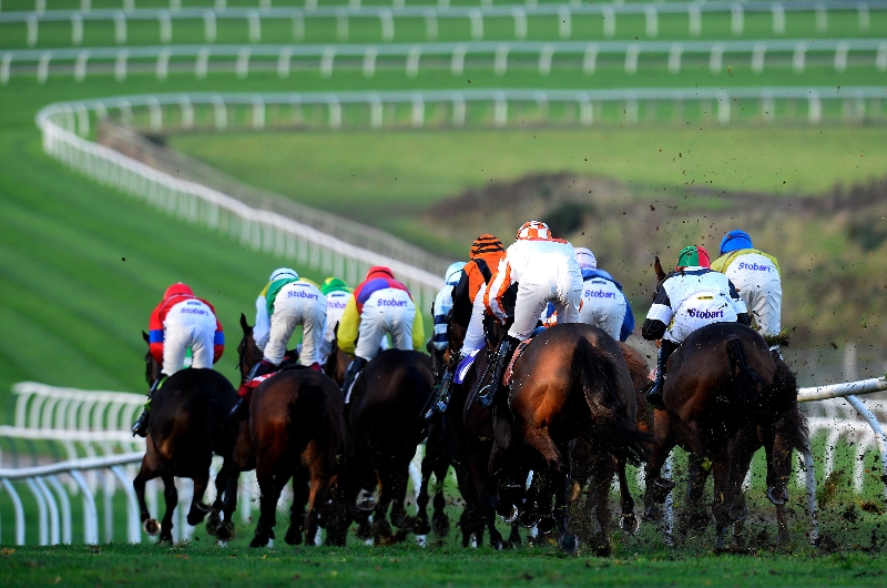 2026 Lester Piggott Fillies' Stakes Live Stream | Watch the Carlisle ...