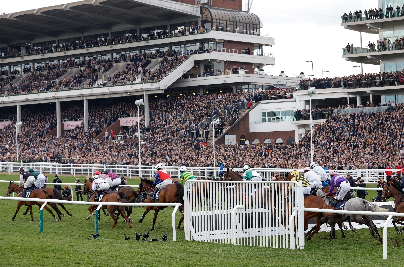 Cheltenham Festival 2026 Live Stream - Watch Cheltenham Online (bet365 ...
