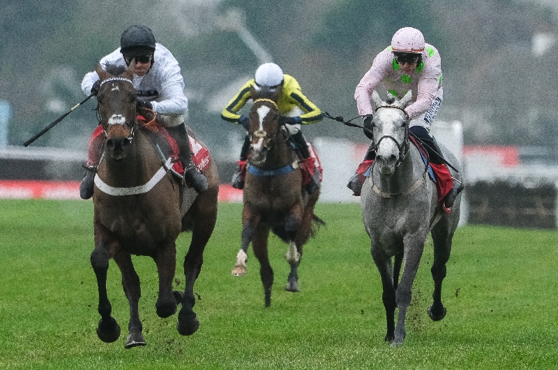 2025 Fighting Fifth Hurdle Tips | Can Constitution Hill roar back to form?