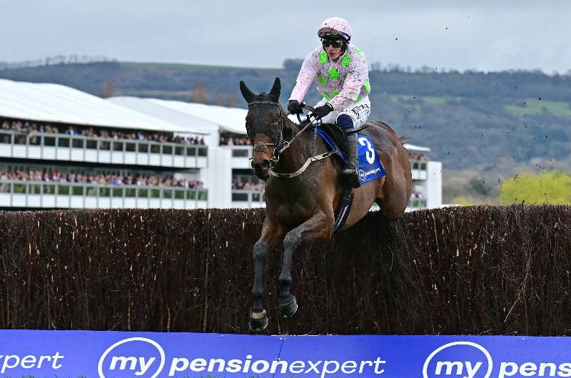 Bet365 Super Boost - Get boosted odds on EITHER Gaelic Warrior or Fact ...