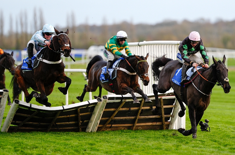 2025 Long Walk Hurdle Odds | Honesty Policy and Impose Toi top Ascot market