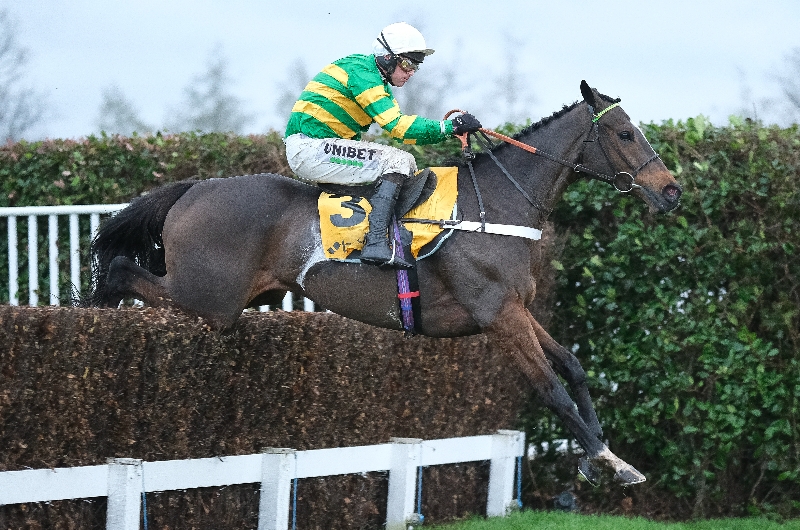 2025 Tingle Creek Tips | Defending champ the value bet at Sandown