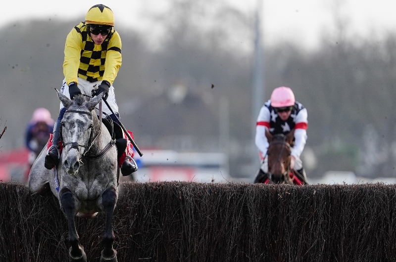 2026 Scilly Isles Novices' Chase Odds | Kitzbuhel leads Steel Ally in ...