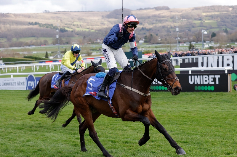 Eye On Cheltenham 25/26 Week 1 | Kopek Des Bordes and Lulamba stake ...