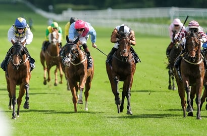 2025 Lingfield Derby Trial Tips | O'Brien to dominate another Classic ...