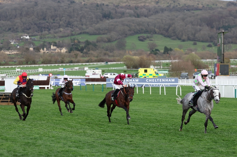 Champion Hurdle Result 2026: Winner and Full Results