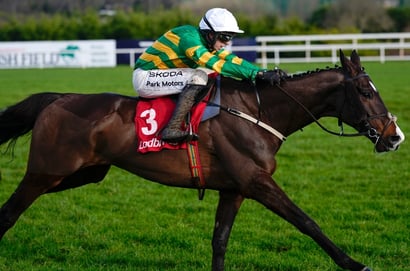Bet365 Super Boost: Get boosted odds on Majborough to win the 2026 ...
