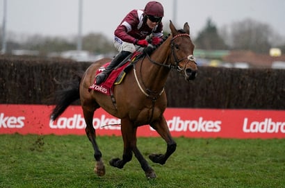 2025 Old Roan Chase Tips | Twiston-Davies' star can Master new trip at ...