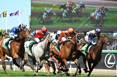 2025 Melbourne Cup Live Stream | Watch the race live from Flemington