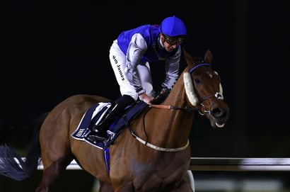 Meydan Tips on January 30th | Dubai World Cup Carnival 2026 Week 5 Tips