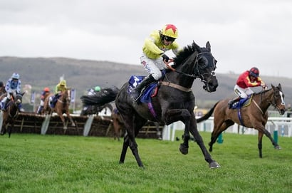 2025 Pertemps Final Odds | The Wallpark heads Final market