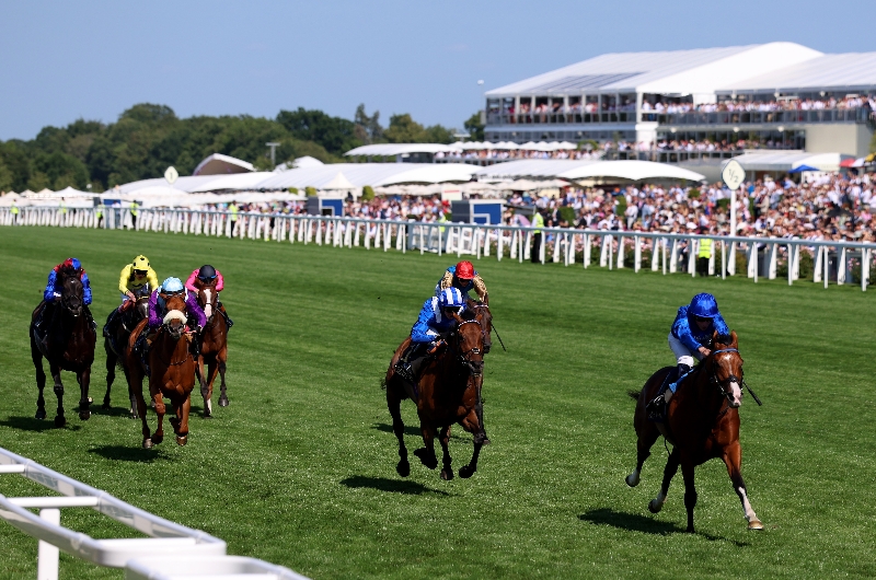 2025 Champion Stakes Odds | Ombudsman and Calandagan to clash at Ascot