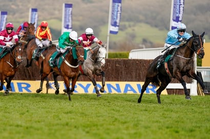 2025 Plate Handicap Chase Odds | Jagwar leads Madara in Festival market