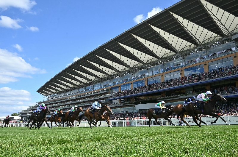 2025 Queen Elizabeth II Jubilee Stakes Odds | Lazzat heads ...