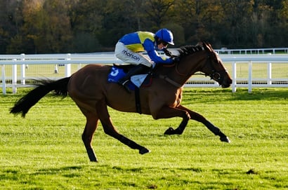 2026 William Hill Handicap Hurdle Tips | Gerry Feilden winner ...