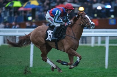 2025 Champion Bumper Odds | Windbeneathmywings second to Kalypso'chance ...