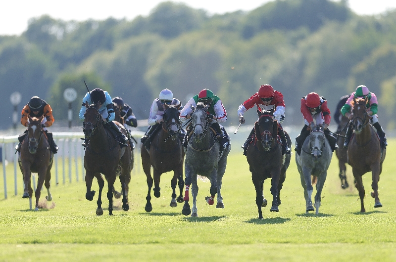 2025 Racing League | Teams, jockeys and fixture list
