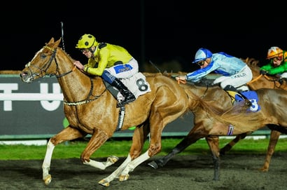 Big Wins | Horse racing bettor turns 52p into £12k on Saturday