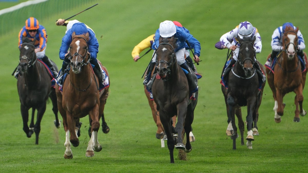 2026 2000 Guineas Ante-Post Guide: Latest odds and two contenders to note