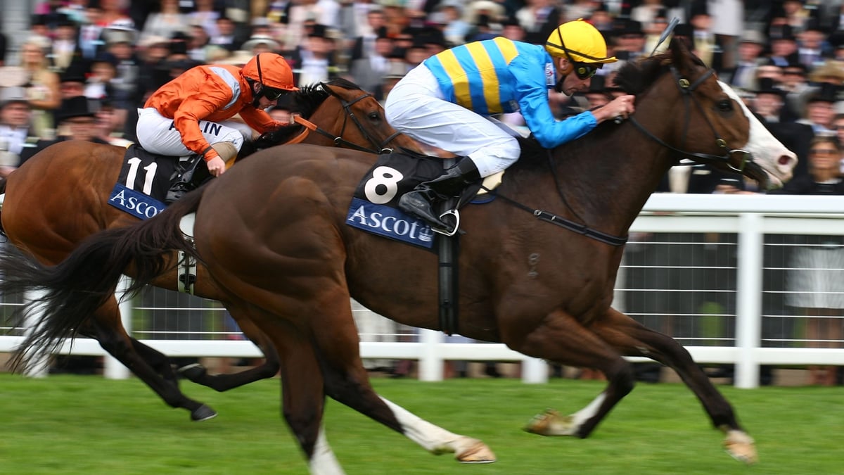 Saturday Ascot Betting Tips January 24 2026 | Best Bets & Previews