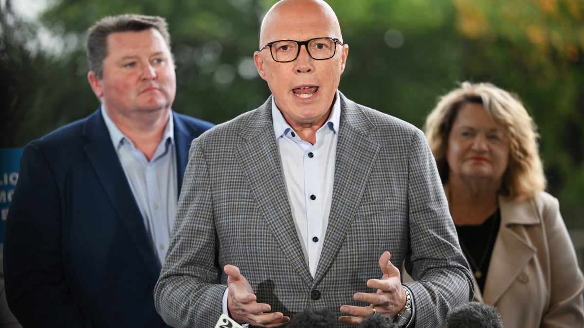 Australian Election Total Seats Betting Tips - Predictions for Labor ...
