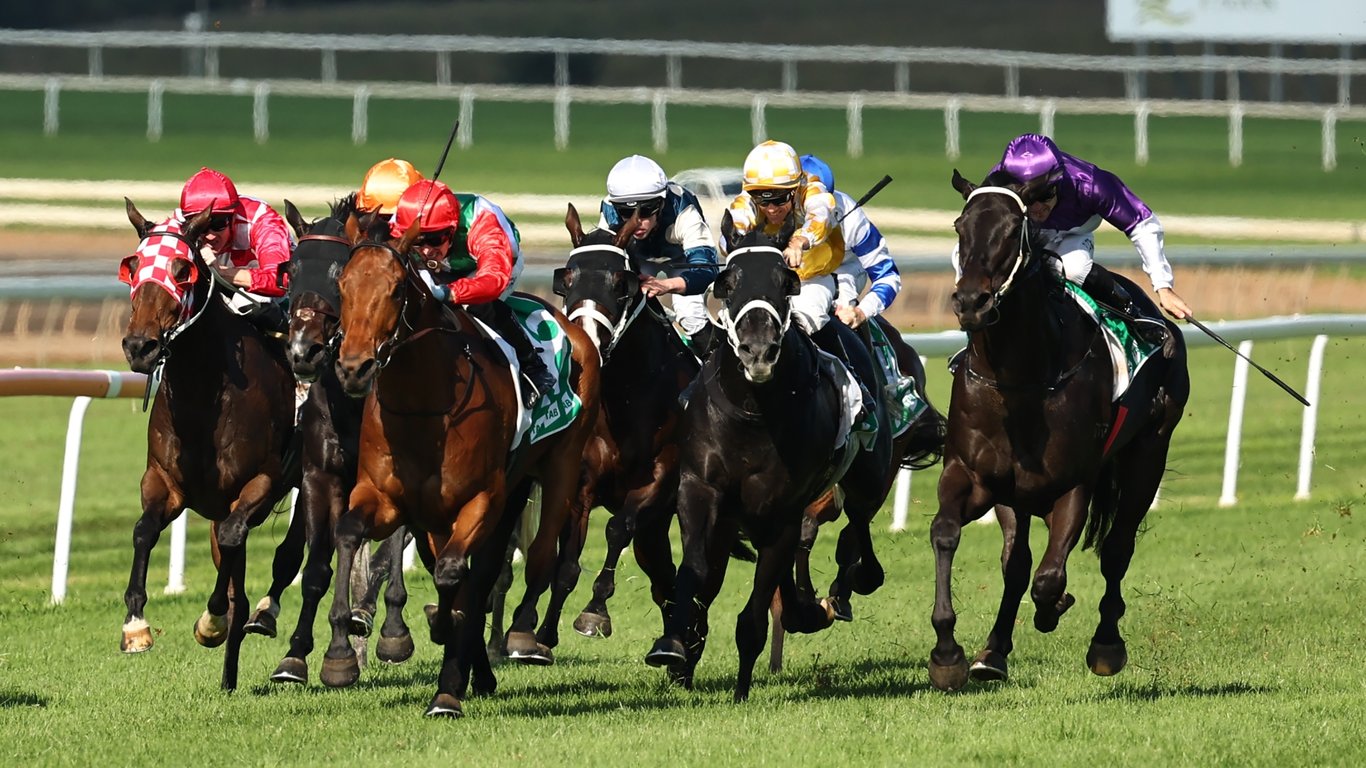 Taree Racing Tips for January 2 - Herman Said is 3rd-up and ready to win