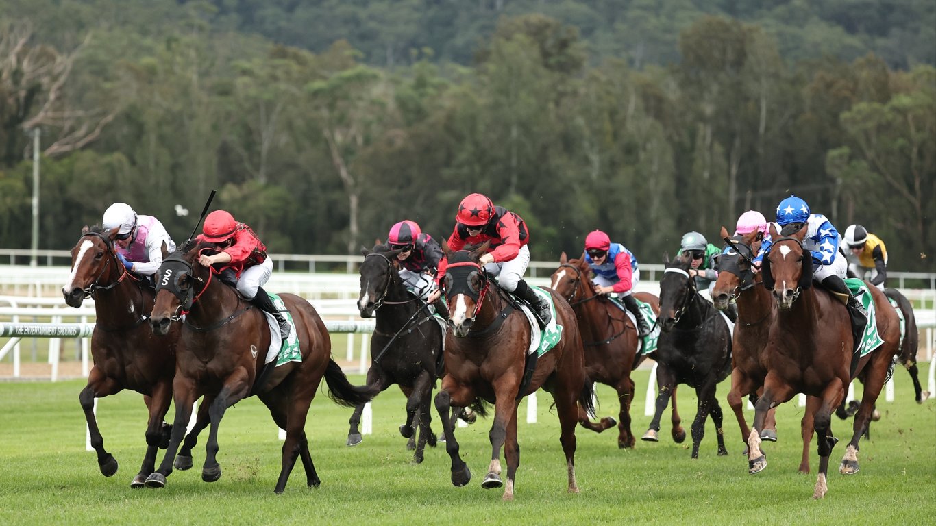 Dubbo Racing Tips for February 2 - Vicious Rumour can break through today