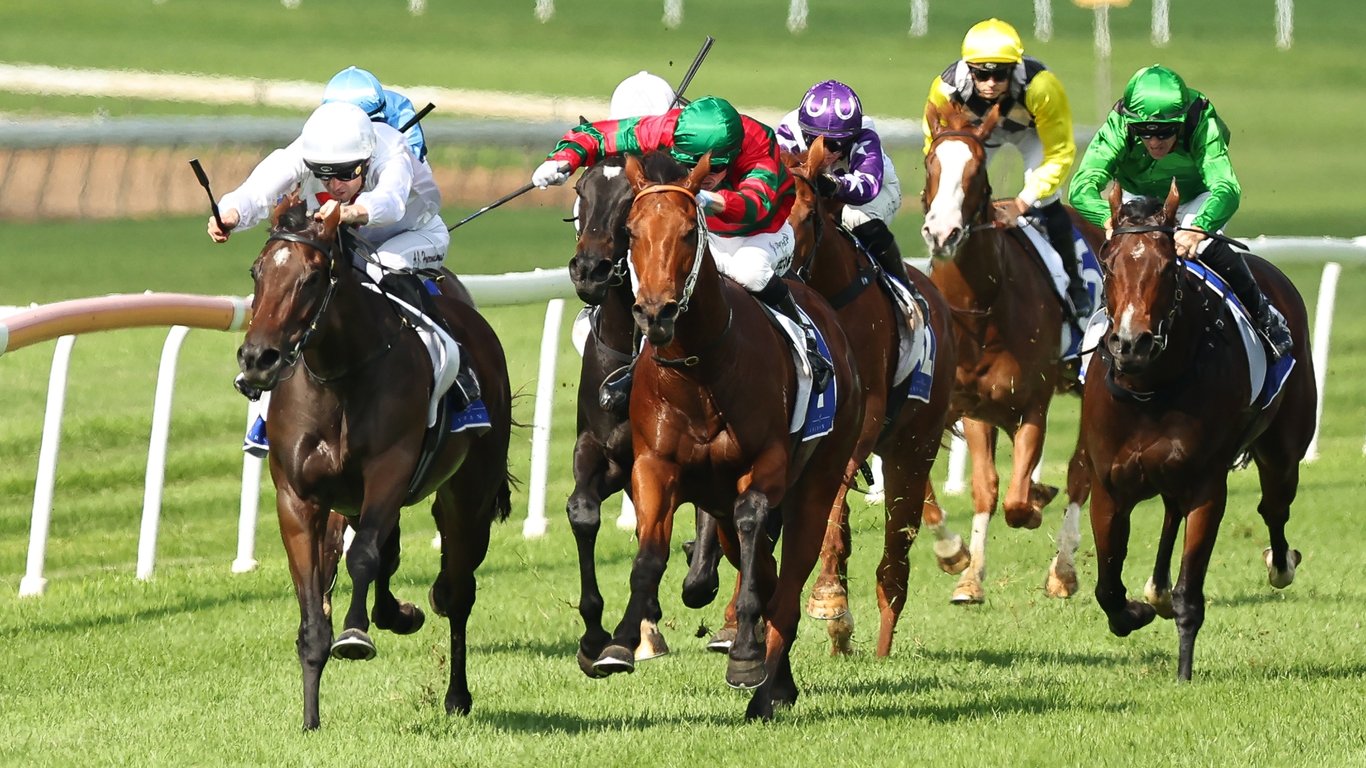 Dubbo Racing Tips for January 12 - State Of Grace is weighted & gated ...