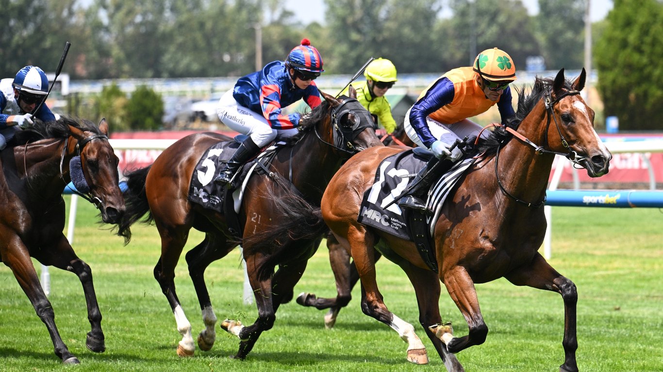 Pinjarra Racing Tips for February 14 - Mangifera is weighted & gated to win