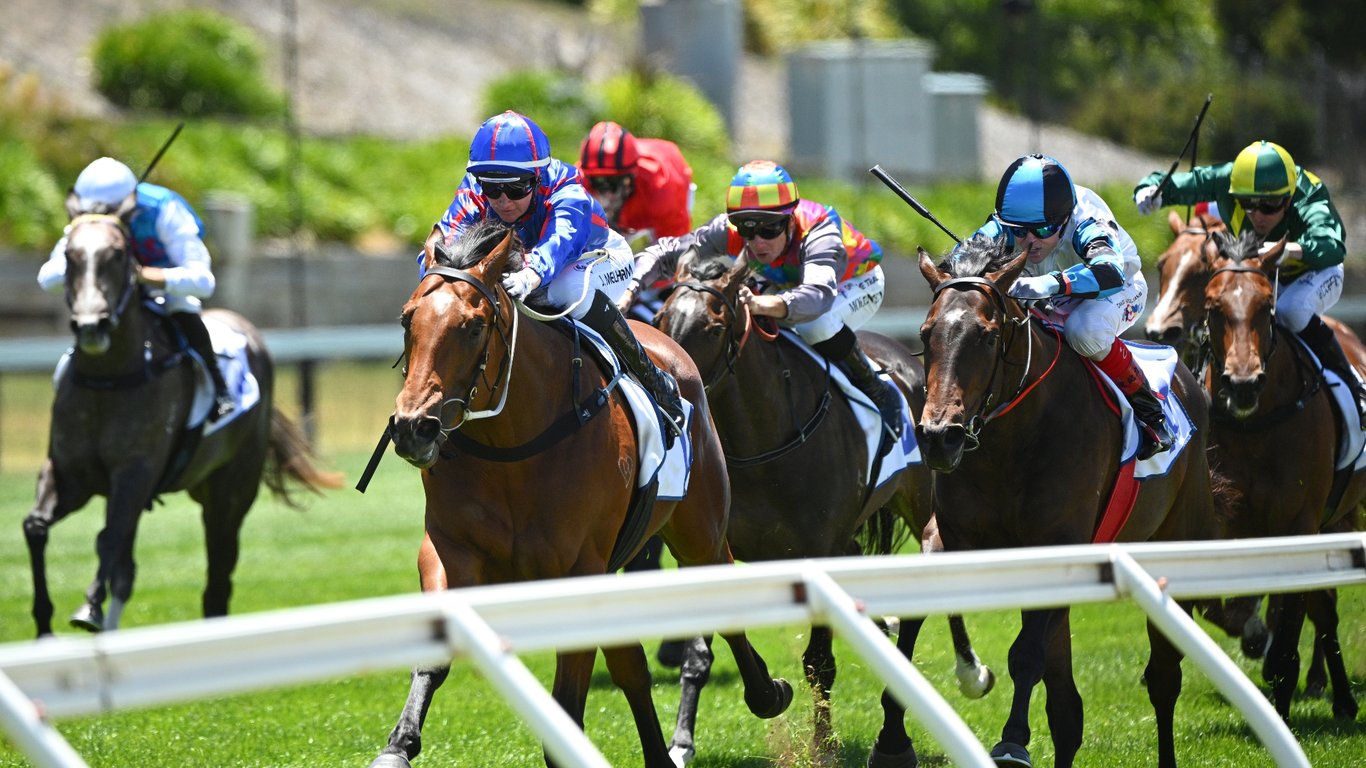 Murray Bridge Racing Tips for January 17 - Angel Torque is set for ...