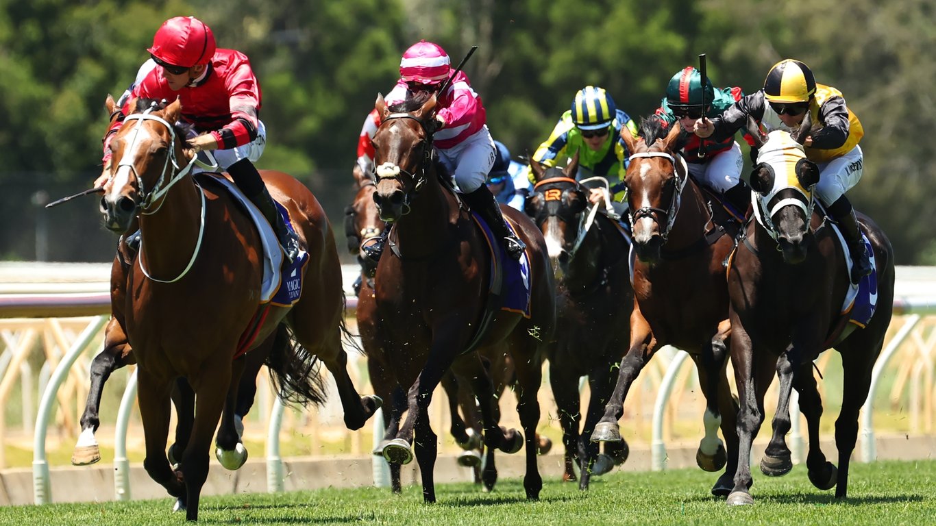 Cowra Racing Tips for January 18 - Wonderful Mistake can win, at her ...