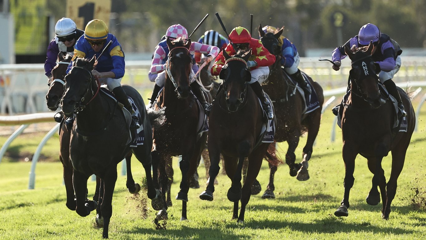 Tamworth Racing Tips for January 22 - Tainui can win from the good draw ...