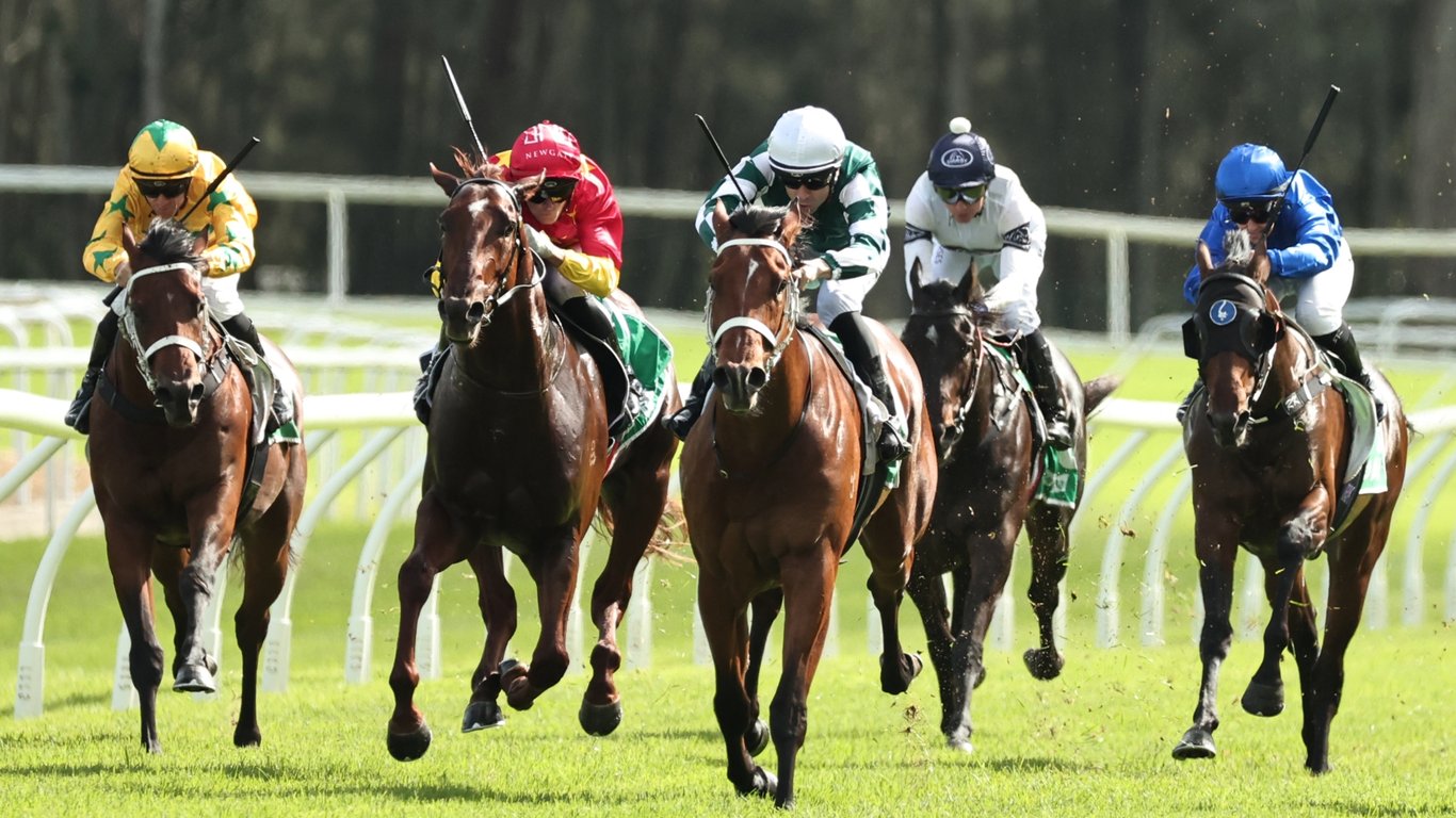 Tamworth Racing Tips for February 23 - Inazuma Boy can go back-to-back
