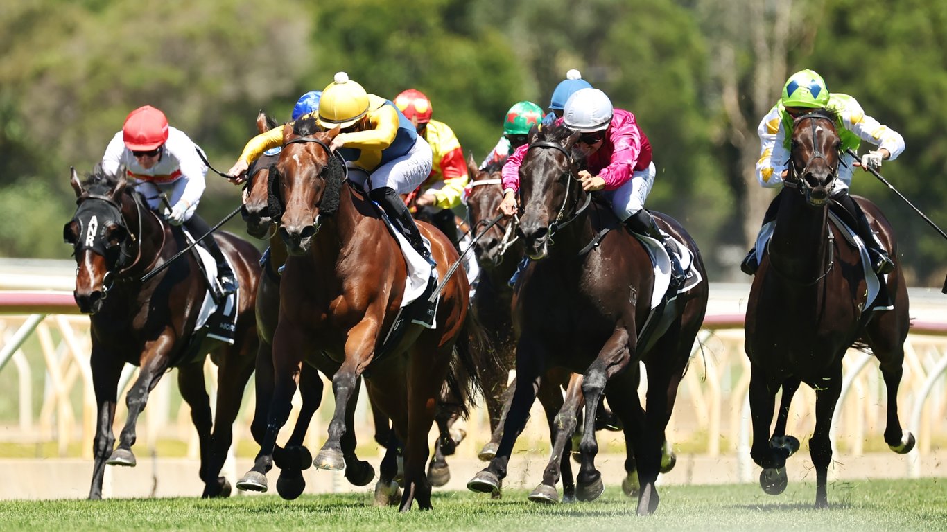 Taree Racing Tips for May 25 - Powerful Tune can go back-to-back today