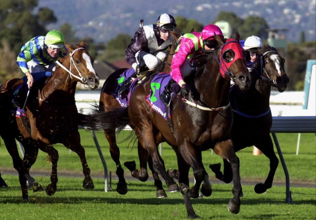 Ascot Racing Tips for October 25 - Kay Tee Why looks set to win again