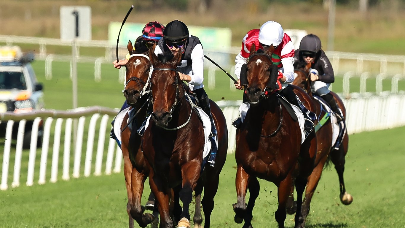 Coonabarabran Racing Tips for October 26 - Rouge Moulin looks set to ...