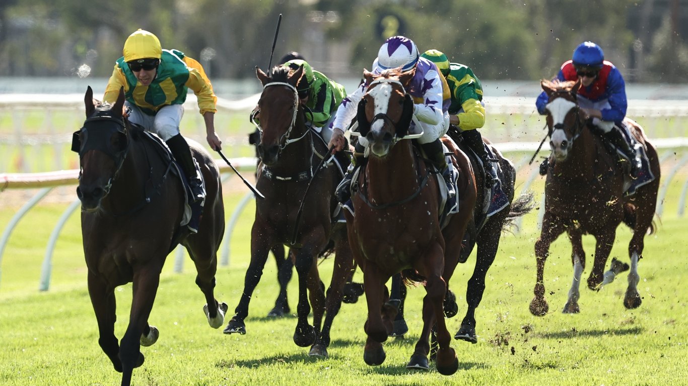 Taree Racing Tips for January 30 - Difensivo can go back-to-back today