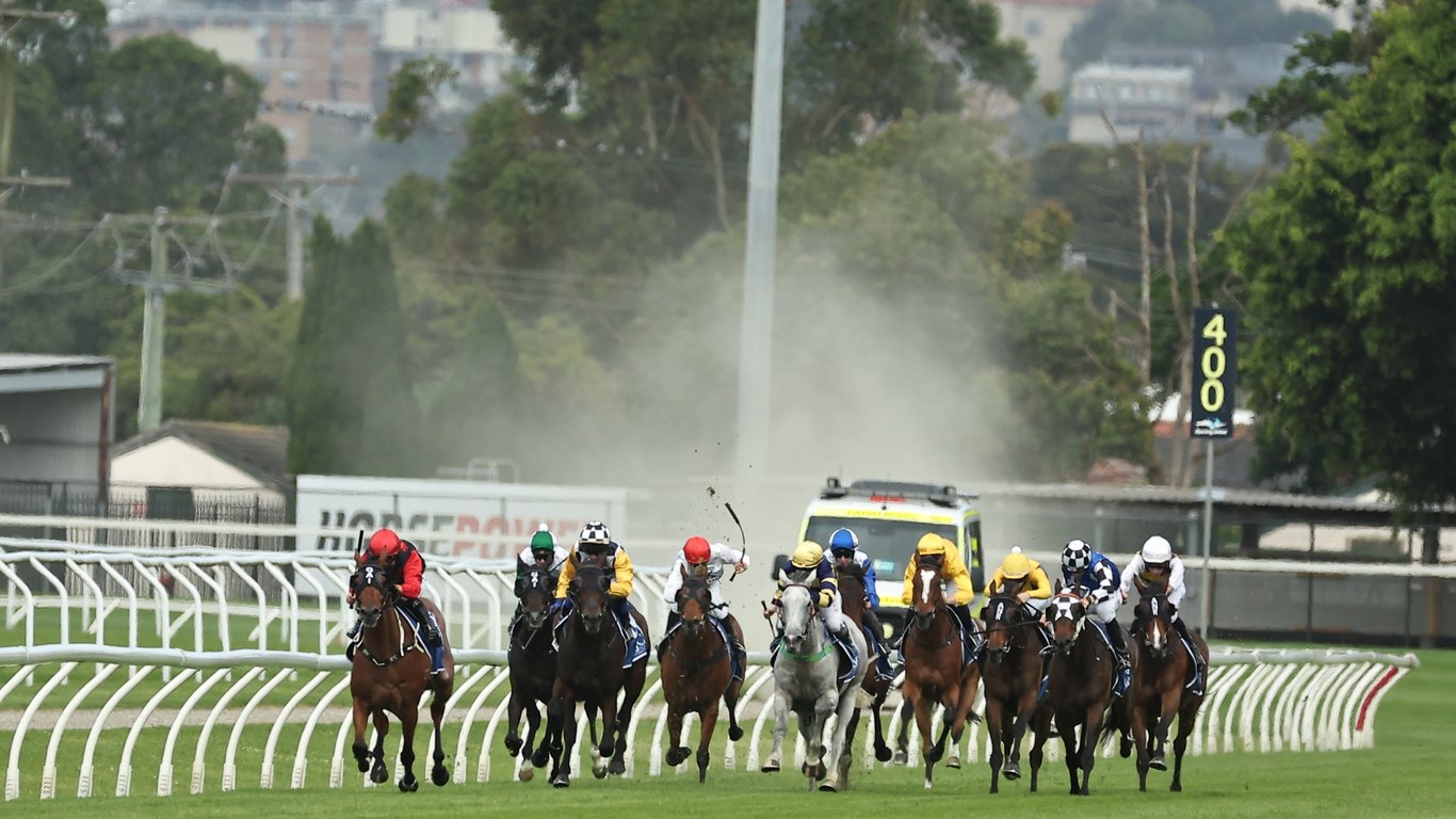 Taree Racing Tips for December 1 - Ocean Joy looks ready to strike, 4th-up