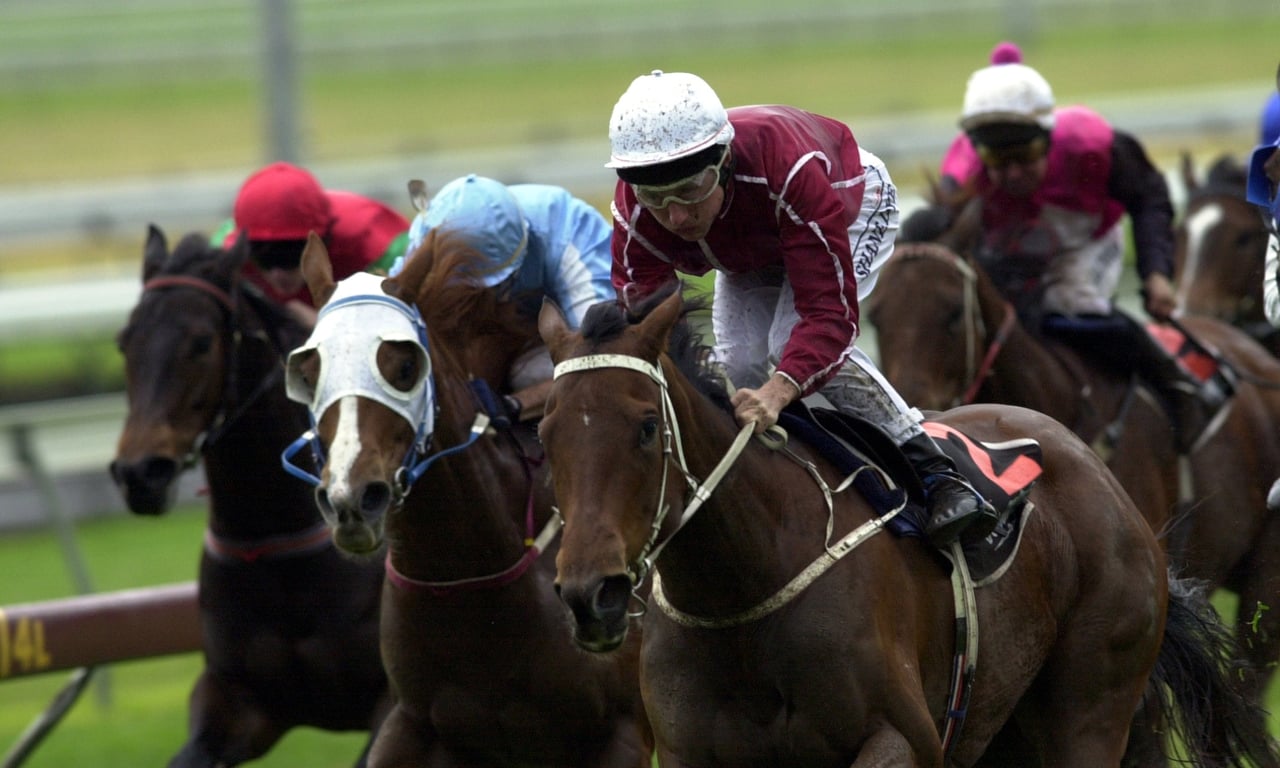 Tamworth Racing Tips for August 7 - Solitario looks set to bounce back ...
