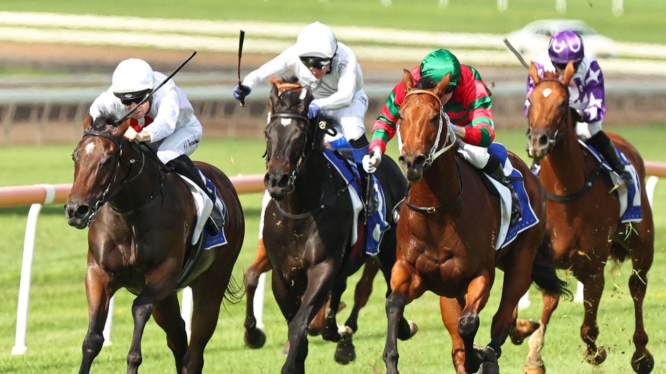 Gatton Racing Tips for January 9 - Kingsland is drawn to win, down in grade