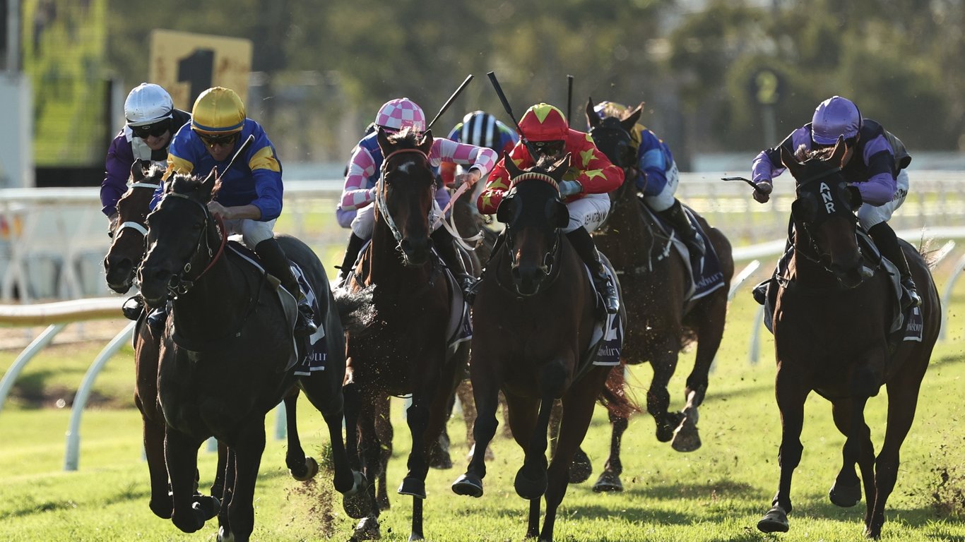 Warren Racing Tips for November 9 - Brummagen can salute, 3rd-up today