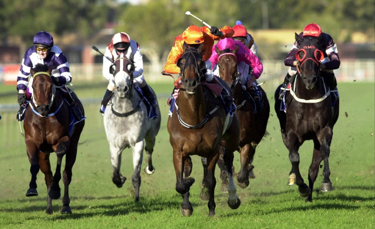 Ascot Racing Tips for May 3 - Kay Tee Why looks poised for another victory