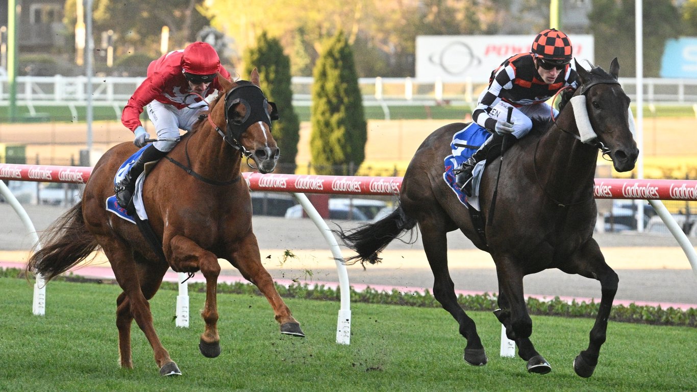 Moonee Valley Blackbookers and horses to follow from August 23