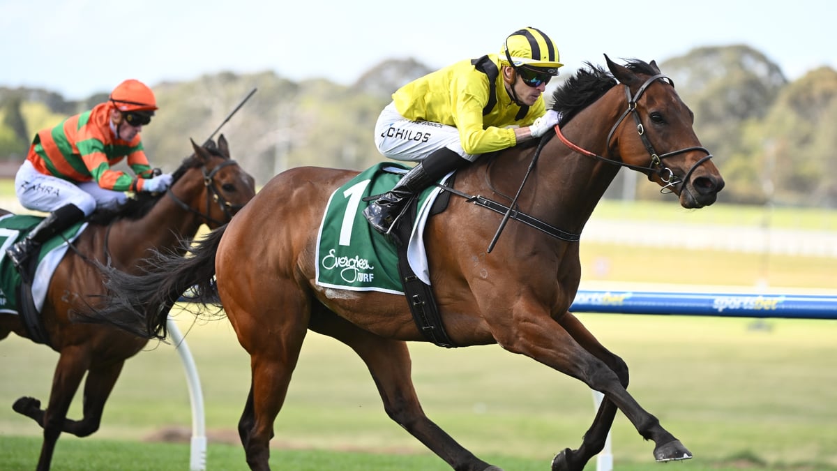 Big Saturday Bets for October 11